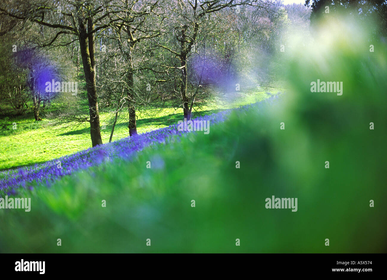 Batcombe hill hi-res stock photography and images - Alamy