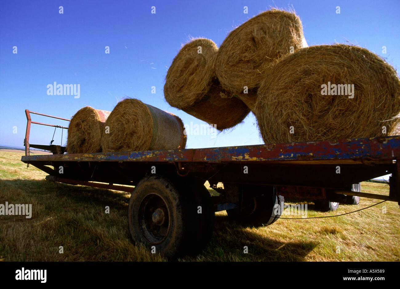 Loading Trailer With Hay Bales In North Dorset England UK Stock Photo ...
