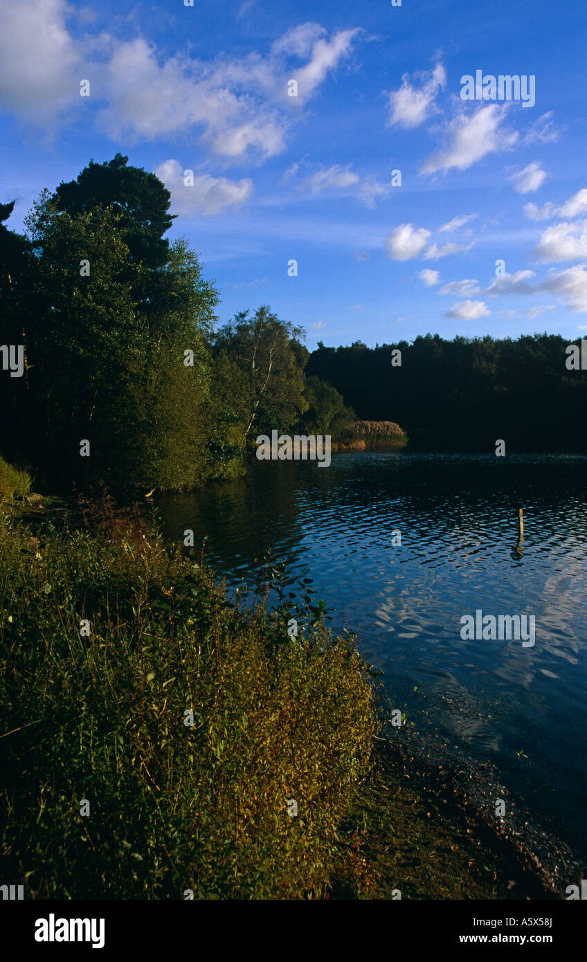 Ockham common hi-res stock photography and images - Alamy