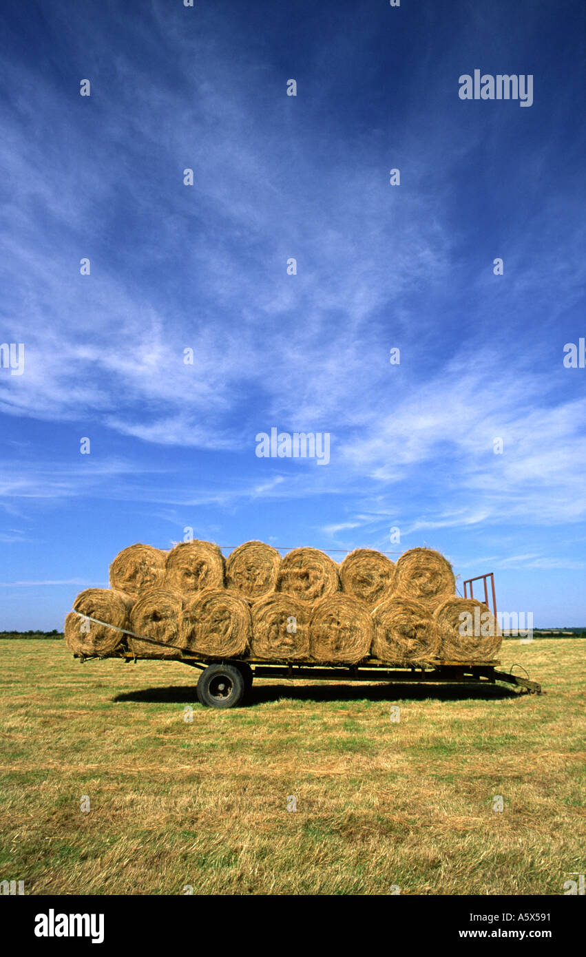 Fully loaded trailer of hay awaiting collection in a North Dorset ...