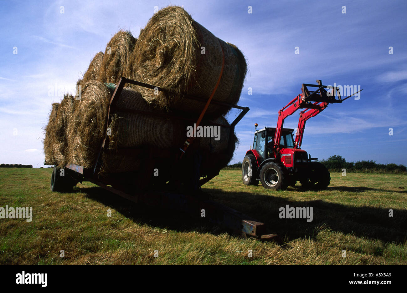 Loaded Trailer Of Hay In Dorset county England UK Stock Photo - Alamy
