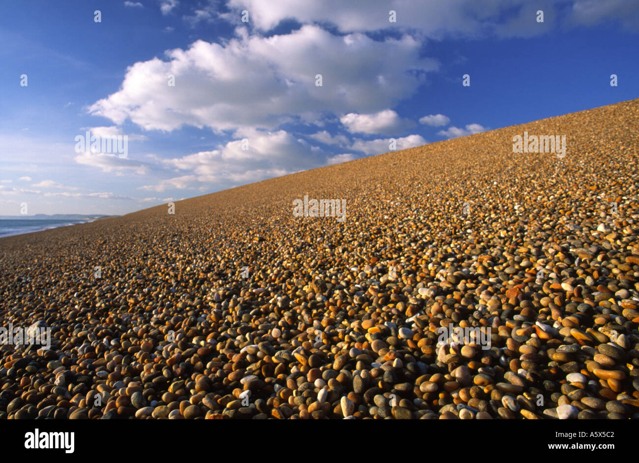 Jurrasic coast beaches hi-res stock photography and images - Alamy