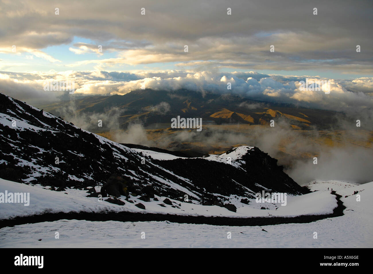 Jose ribas hi-res stock photography and images - Alamy