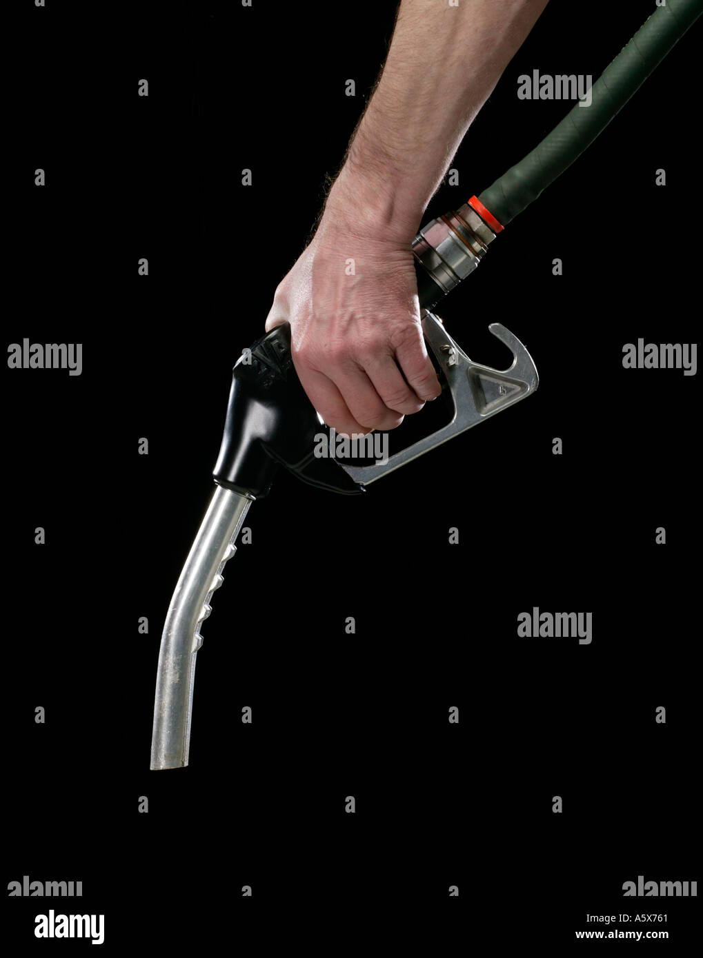 Fossil on hand hi-res stock photography and images - Alamy