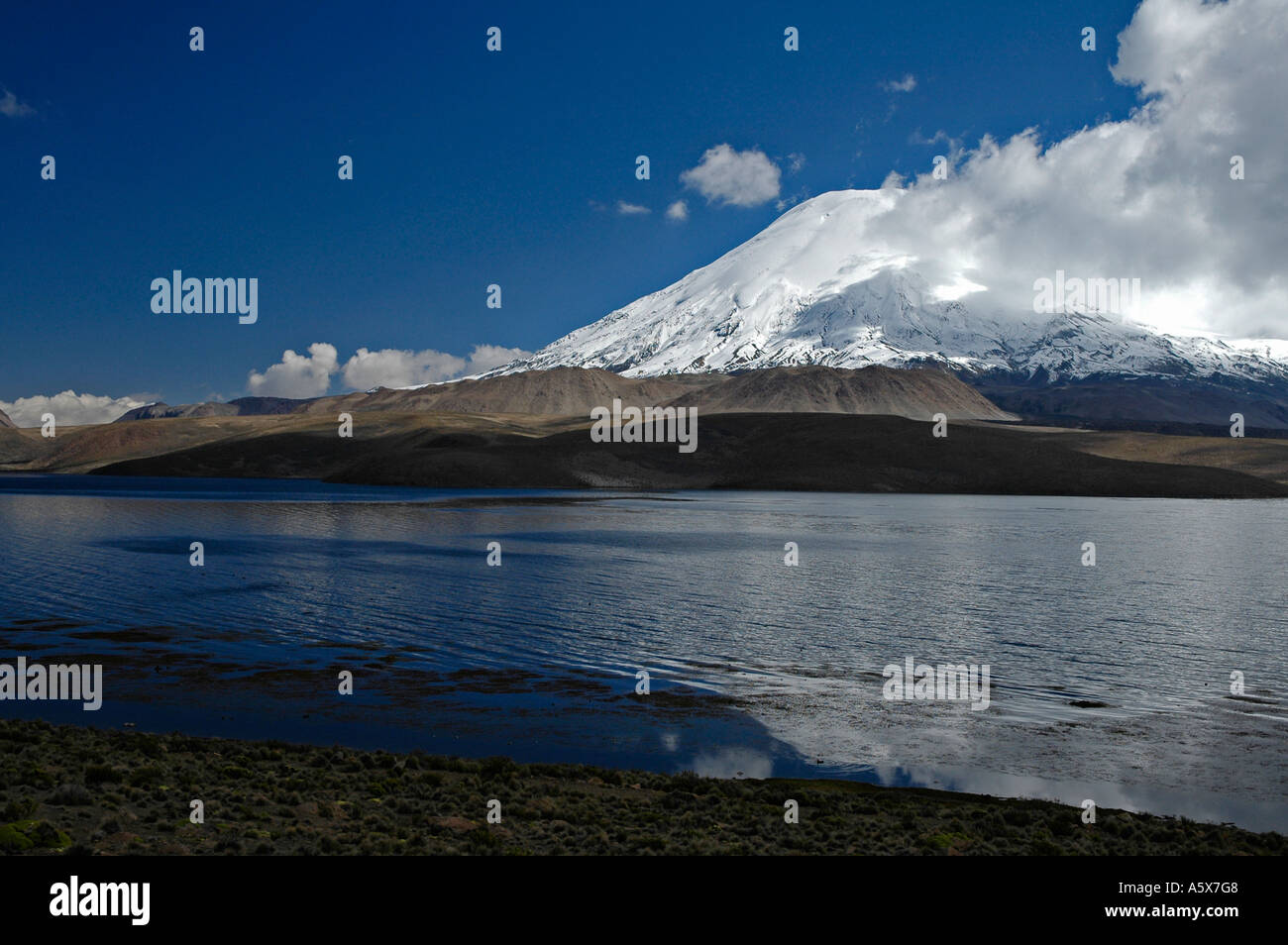 Volcano Parinacota, part of Payachata twin peaks and Lake Chungara ...