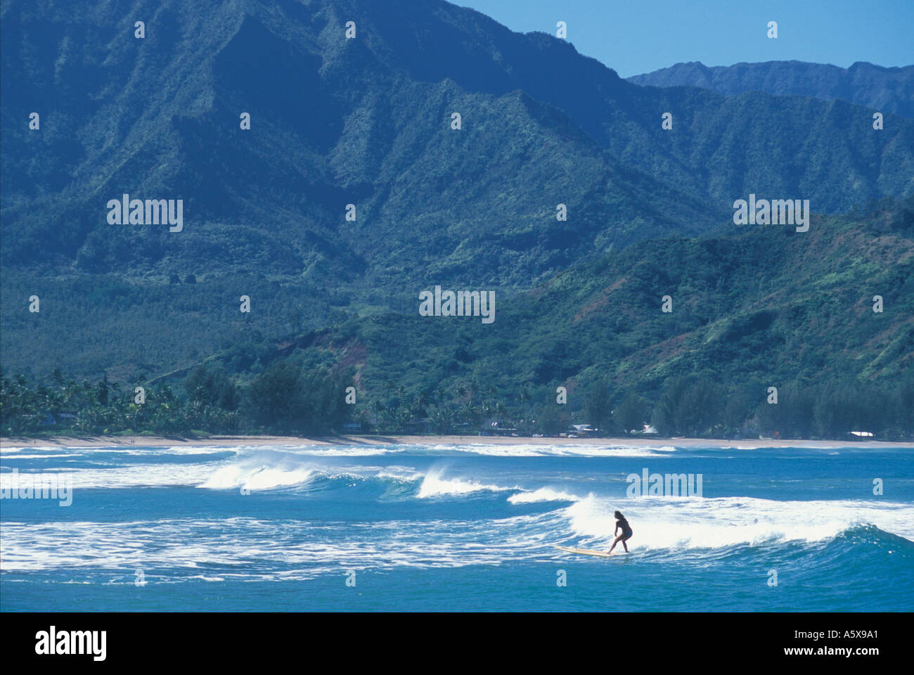 Hawaii Kauai Hanalei Bay woman surfing at shorebreak Stock Photo - Alamy