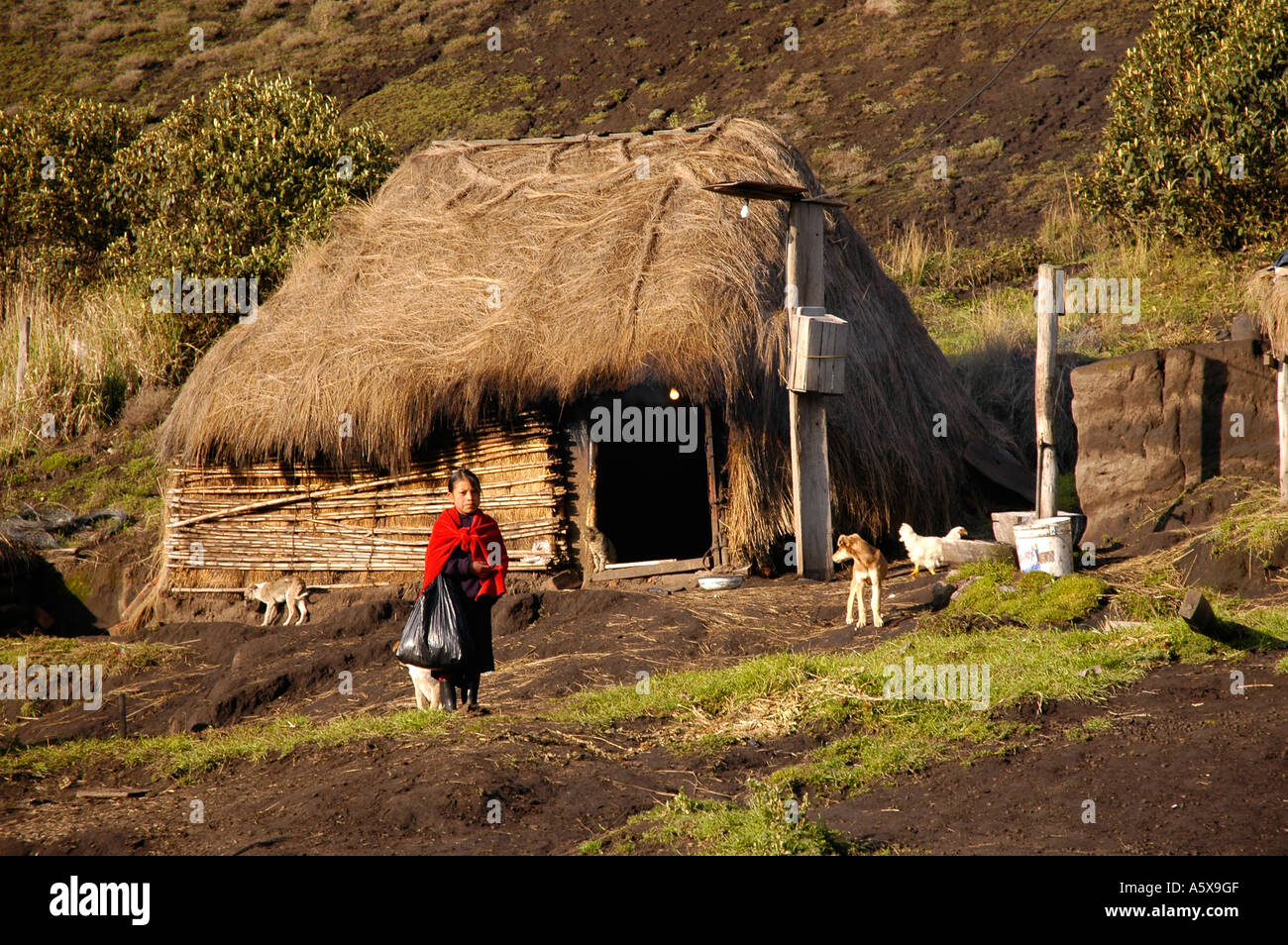 Indian amerindian village hut hi-res stock photography and images - Alamy