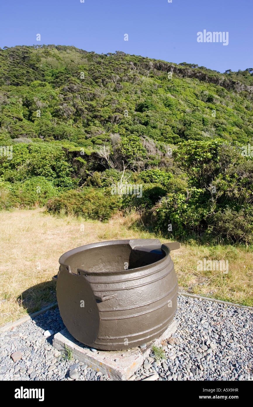 Old native trees new zealand hi-res stock photography and images - Alamy