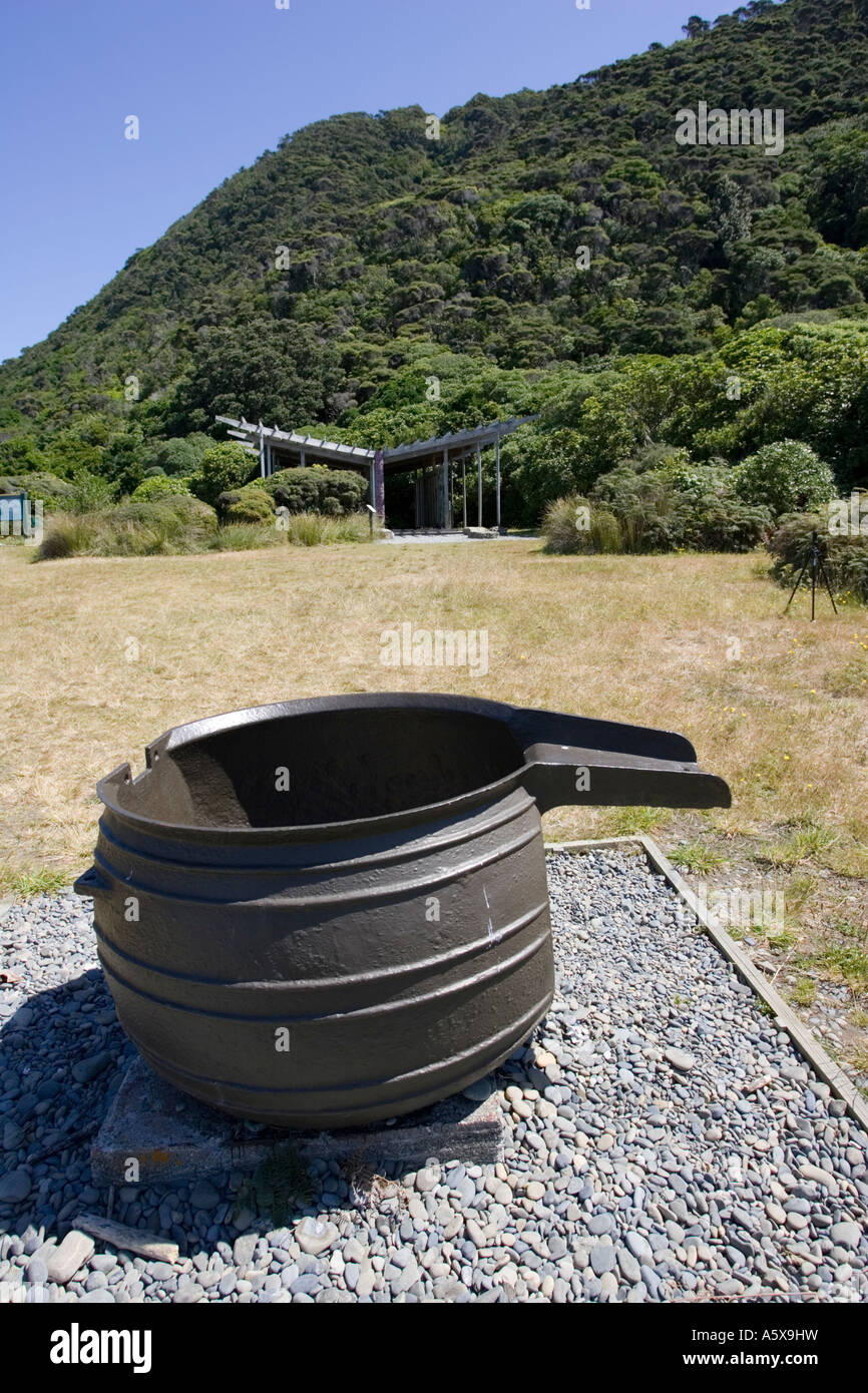 Old native trees new zealand hi-res stock photography and images - Alamy