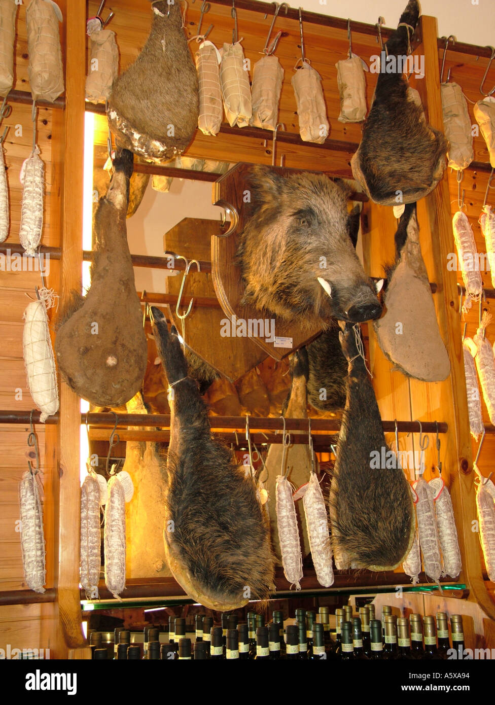 Pictures wild boar hi-res stock photography and images - Alamy