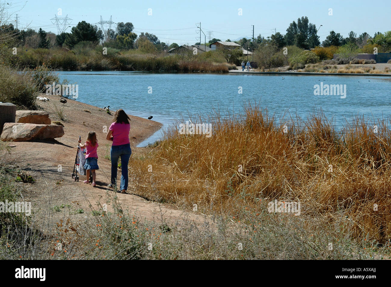 Painet je6638 arizona maricopa gilbert riparian reserve water ranch ...