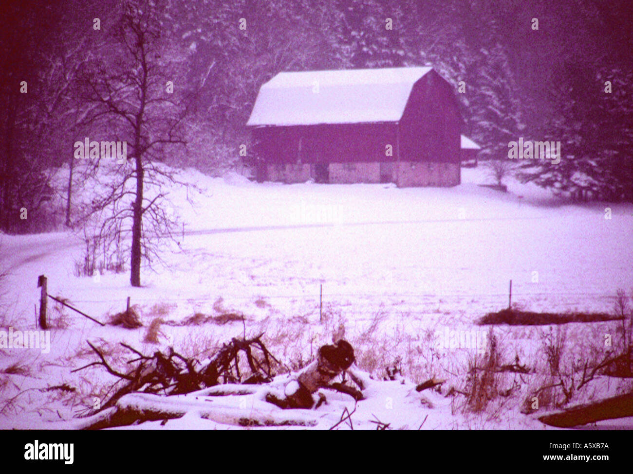 An early morning mist shrouds the snowy landscape in northern Wisconsin ...