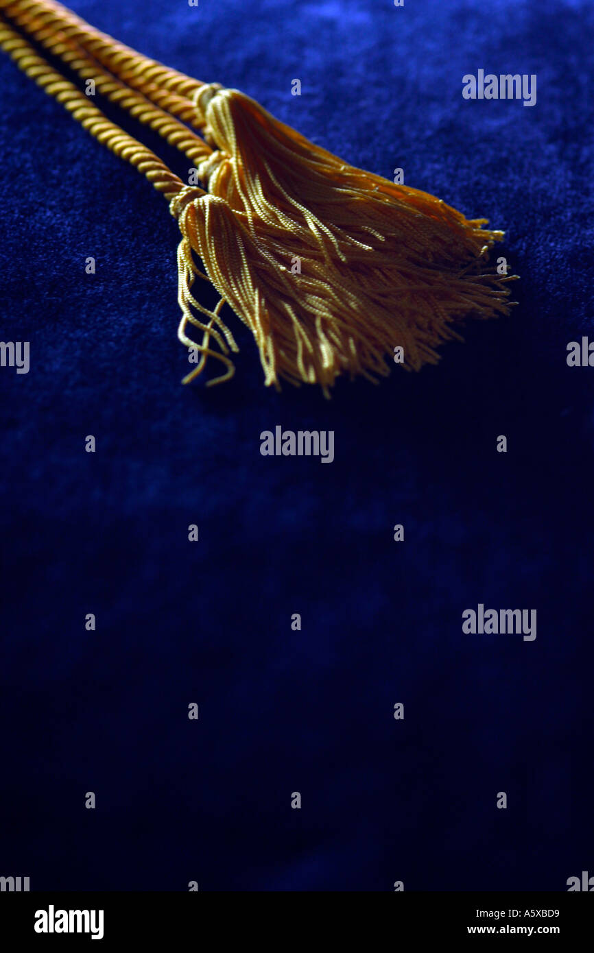 Golden Tassel Graduation Tassel Symbol of Graduation and Honors Stock ...