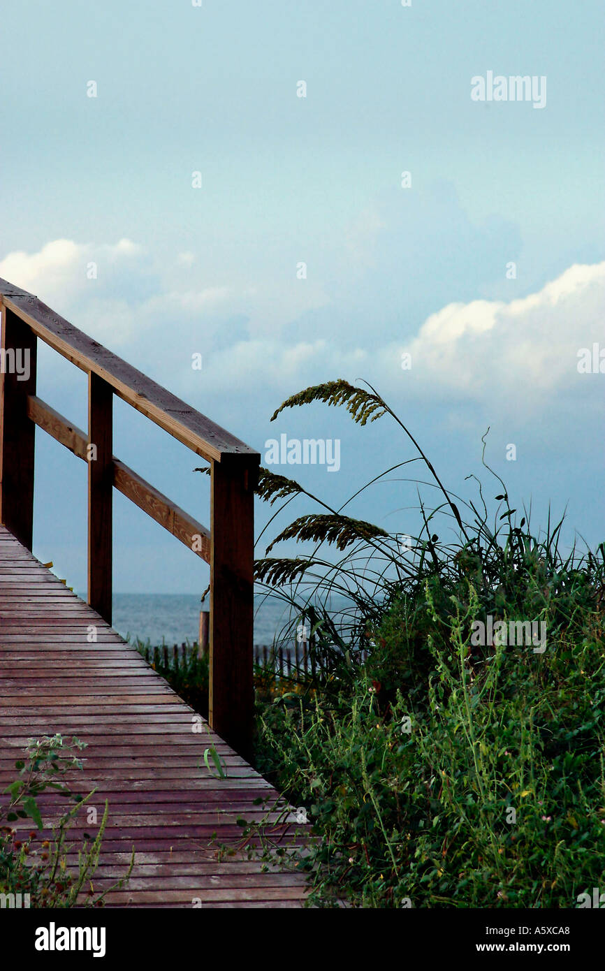 Wooden Walk Over Bridge at The Gulf Coast Protects Sand Dunes Stock ...