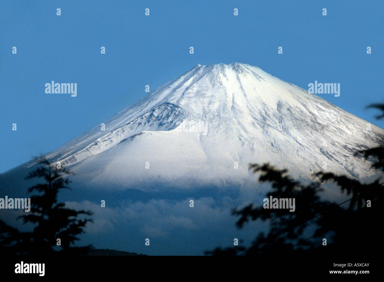 Mount Fuji, Hakone, Japan Stock Photo - Alamy