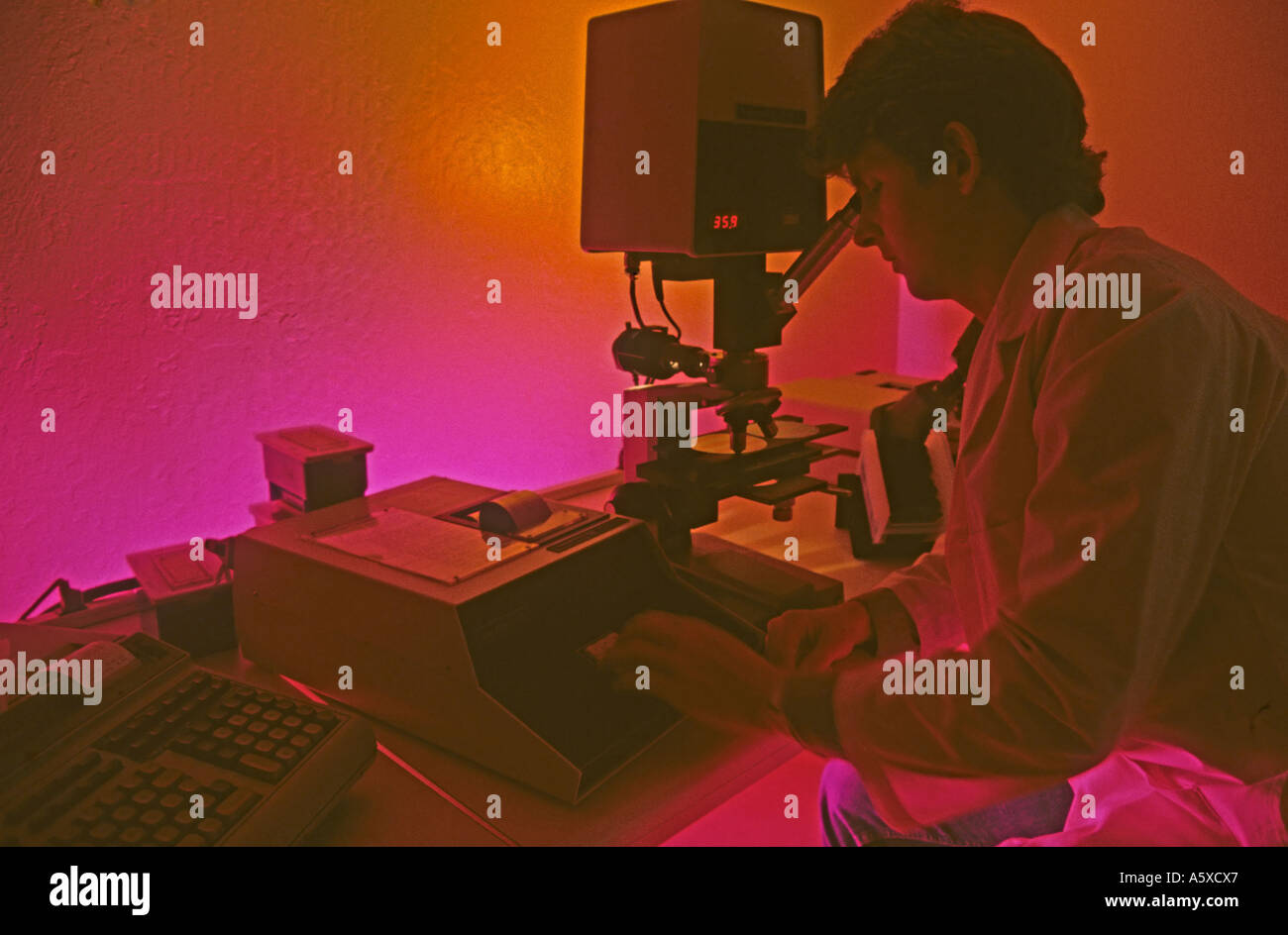 technician using microscope Stock Photo - Alamy