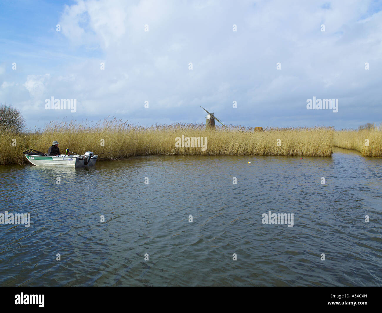 Pike Fisherma on the Norfolk Broads Stock Photo - Alamy