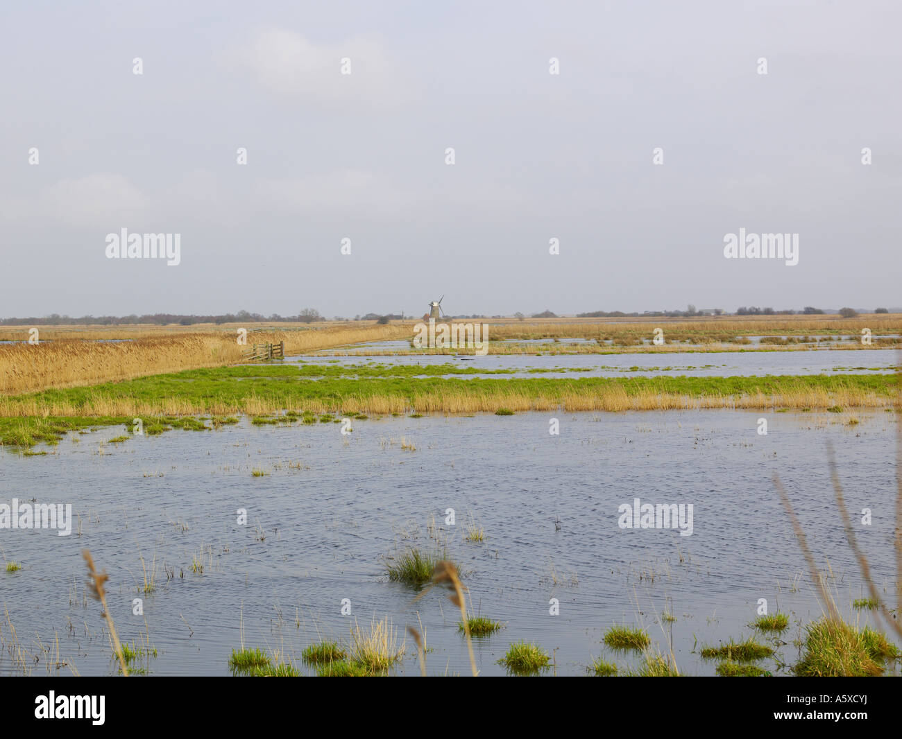 Flood river broads norfolk hi-res stock photography and images - Alamy