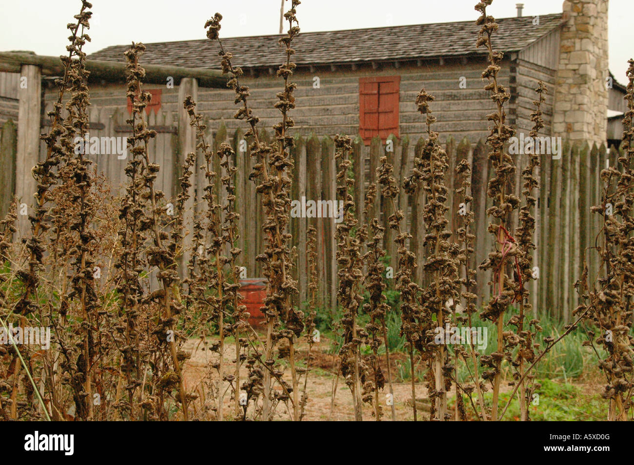 Fort madison iowa hi-res stock photography and images - Alamy