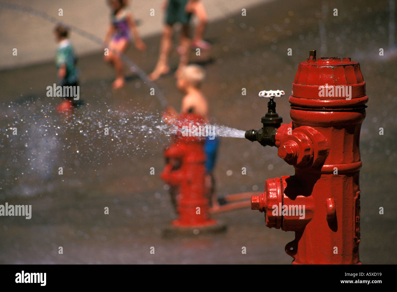 Fire hydrant spraying water in a children s park on Granville Island ...