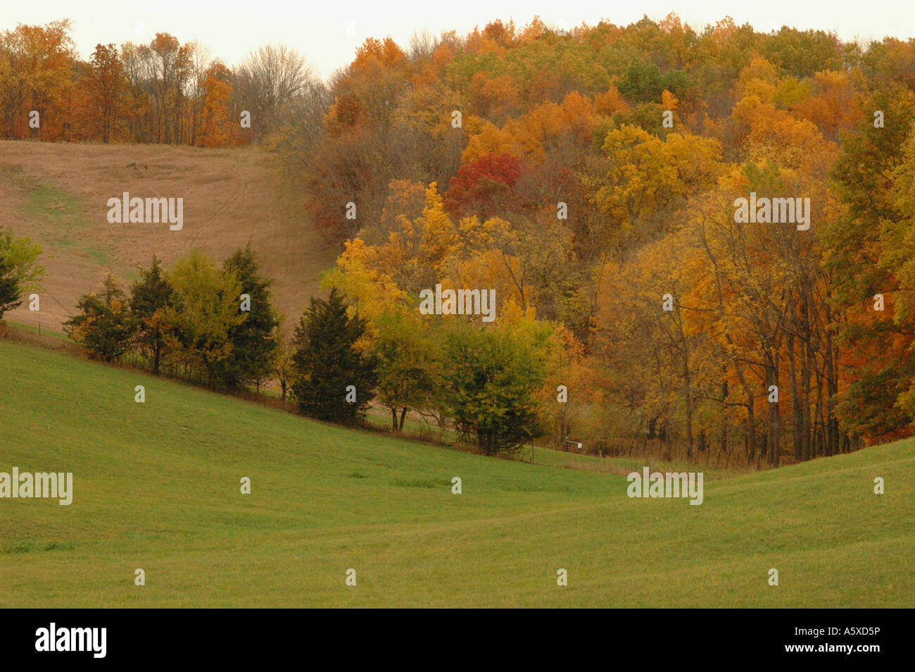 Delhi Outline High Resolution Stock Photography and Images - Alamy