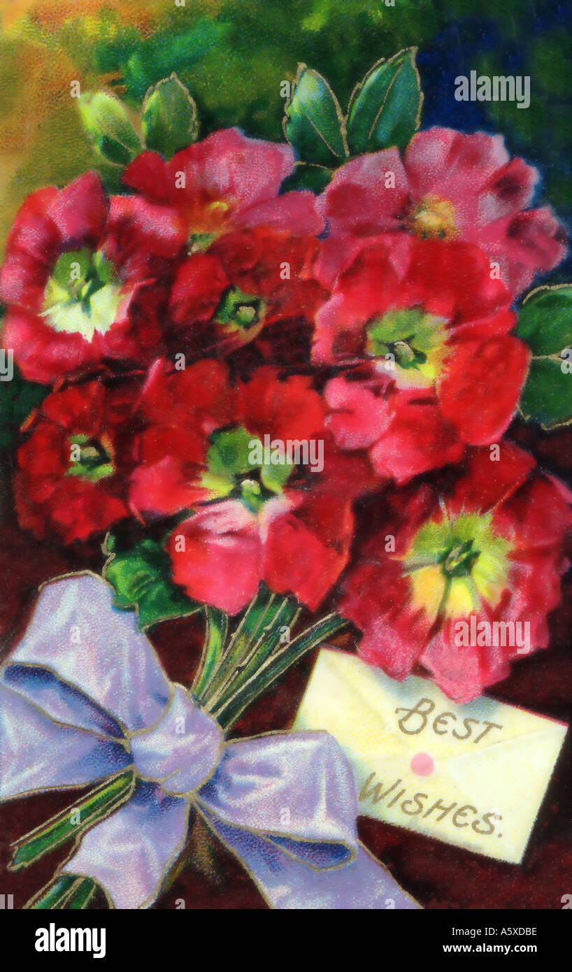 Vintage Greeting Card Primrose Flowers Circa 1900 Stock Photo - Alamy