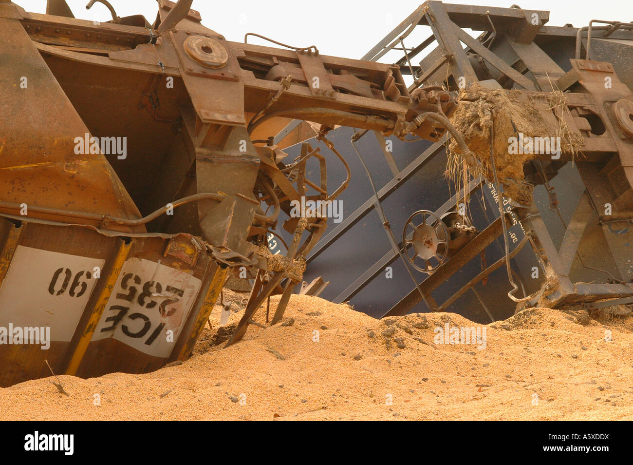 Castalia Stock Photos & Castalia Stock Images - Alamy