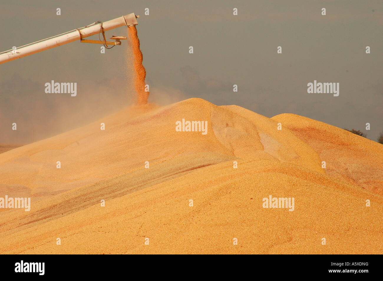 Corn Silo High Resolution Stock Photography and Images - Alamy