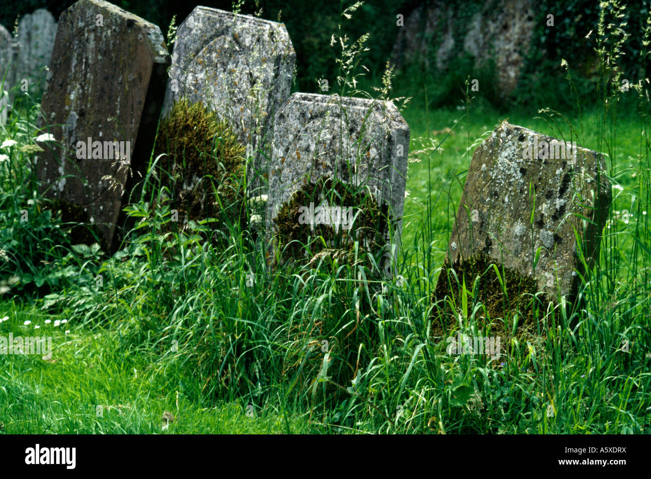 Graveyard Horsham Surrey Stock Photo - Alamy
