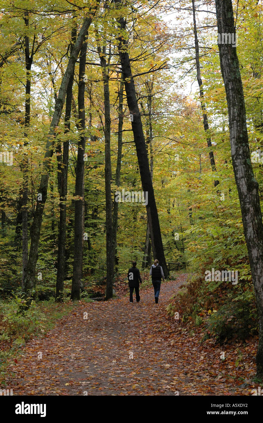 Canada ontario gatineau park hi-res stock photography and images - Alamy