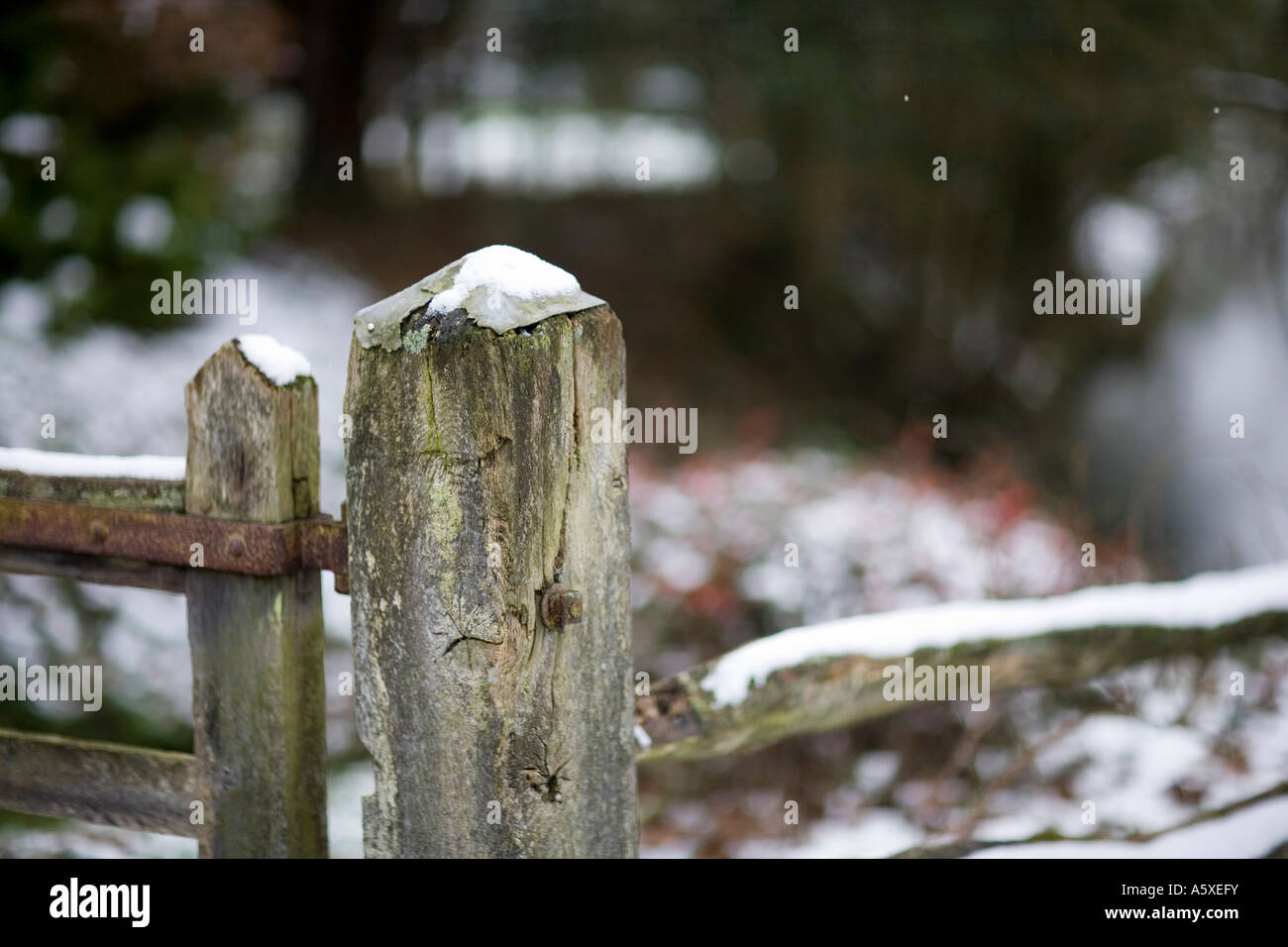 Snow covered fence Stock Photo - Alamy