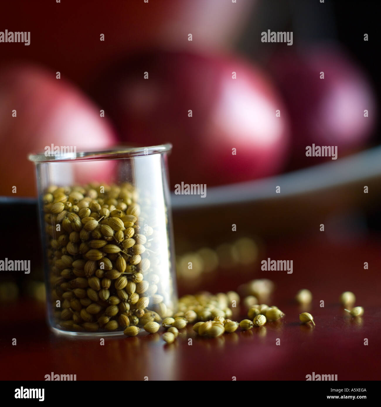 Coriander Seeds in Glass Container Stock Photo - Alamy