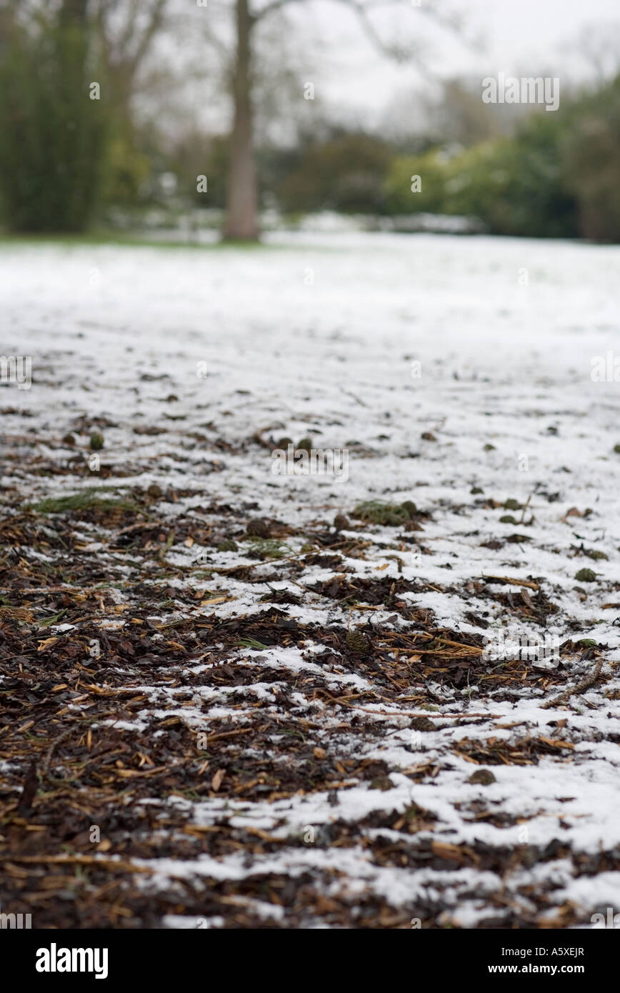 Niveous hi-res stock photography and images - Alamy