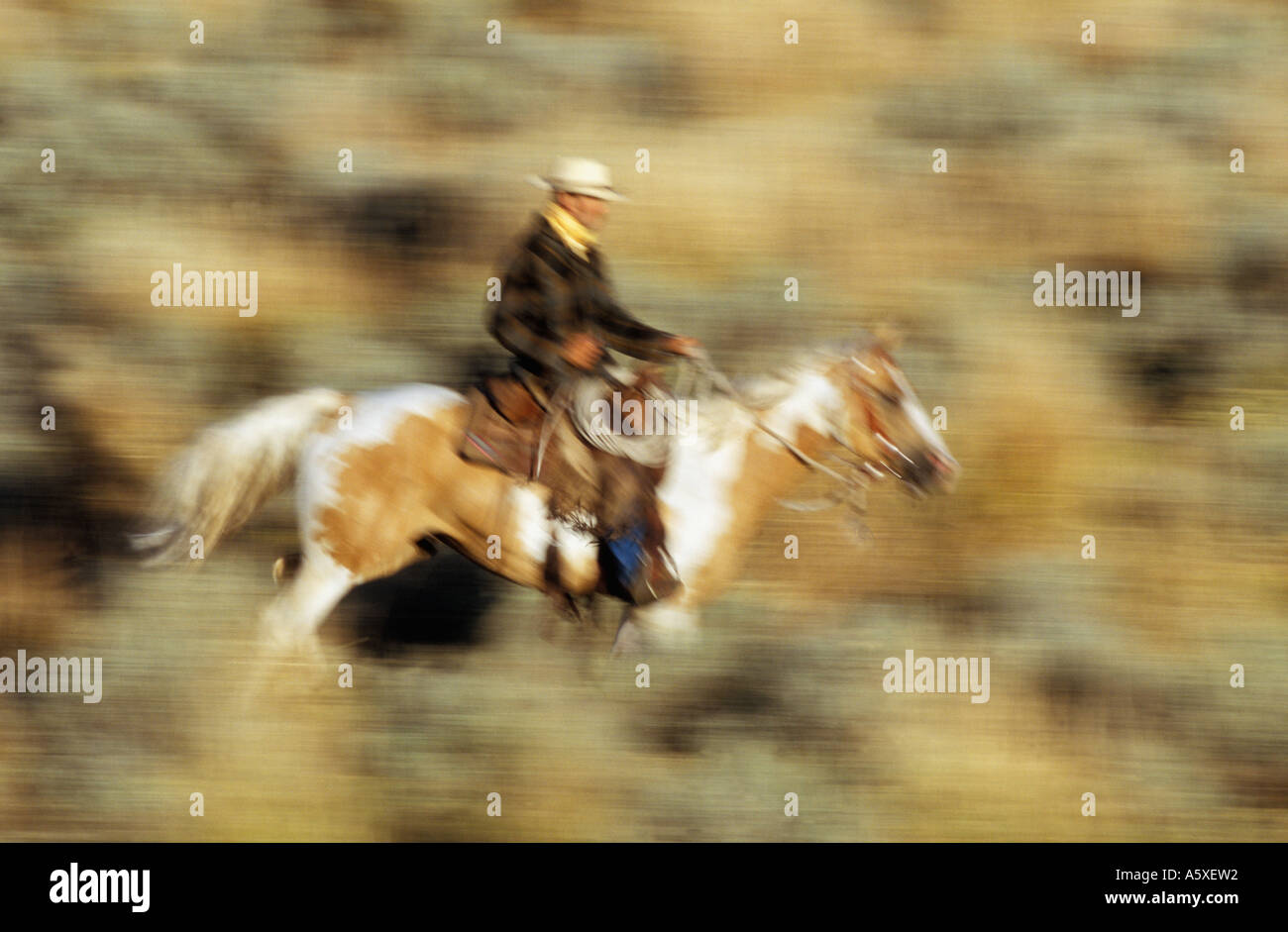 Westerns cowboy hi-res stock photography and images - Alamy
