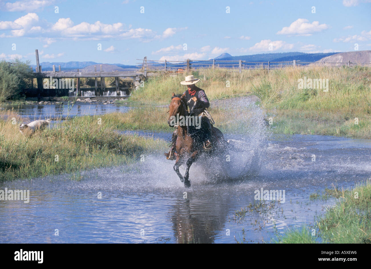 Dog cowboy horse ride hi-res stock photography and images - Alamy