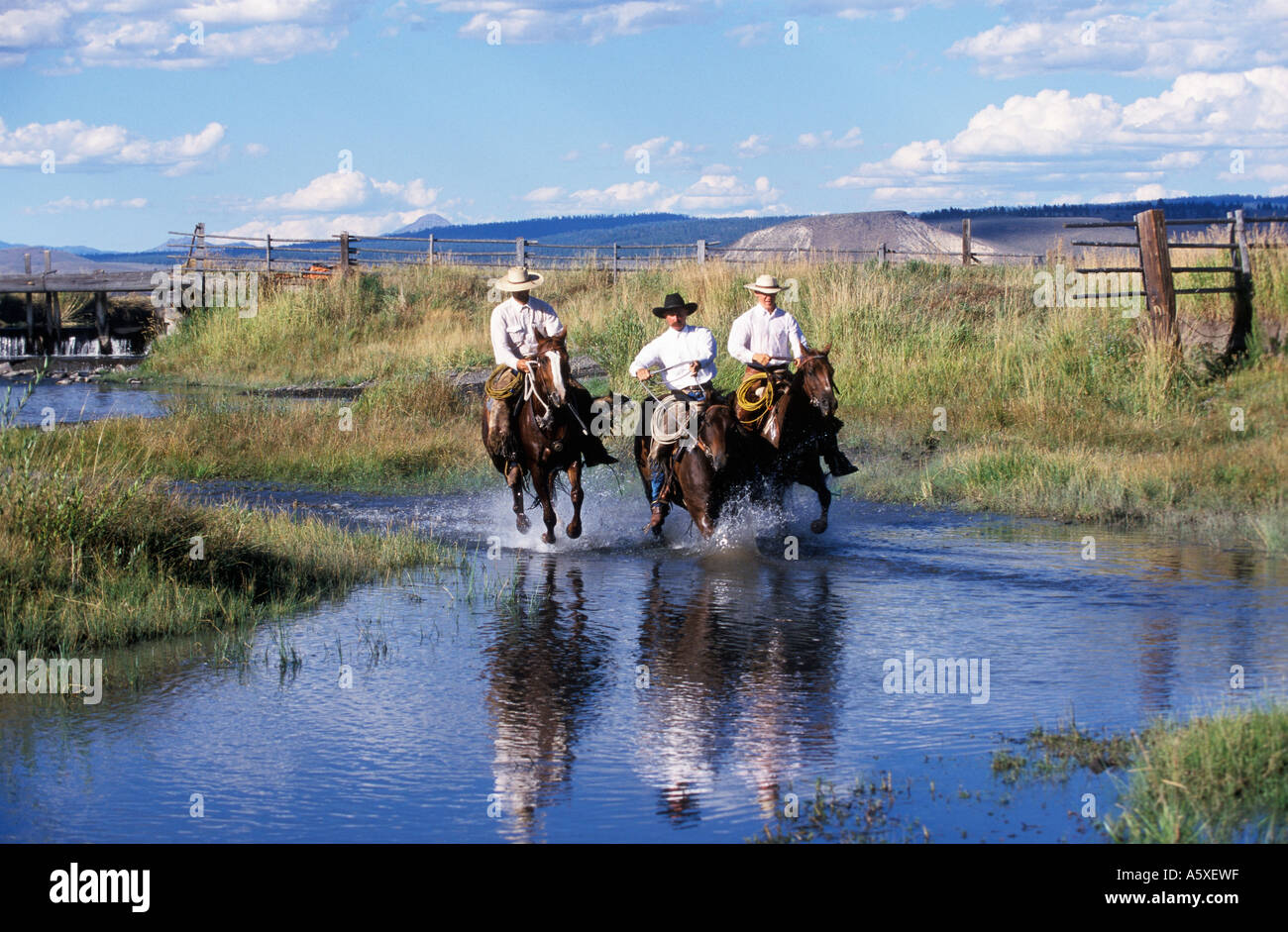 Three Cowboys riding through a River Oregon USA Stock Photo - Alamy