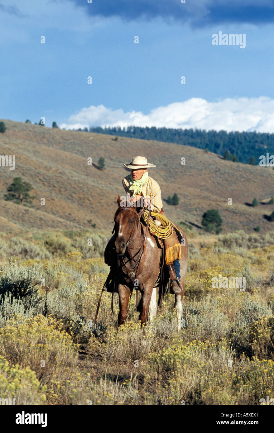 Cowboy and horse resting hi-res stock photography and images - Alamy