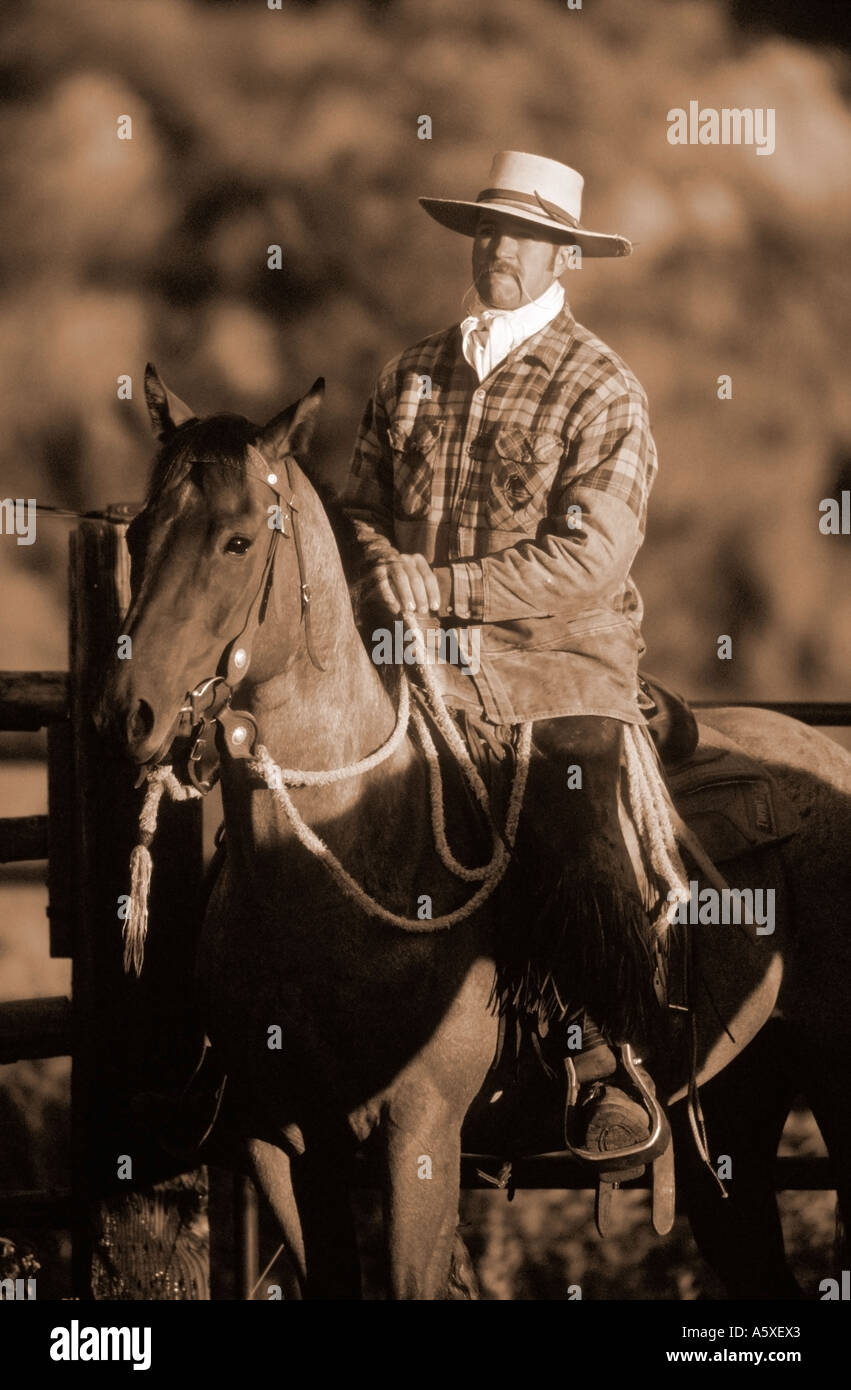 Cowboy on Horse Oregon USA. Sepia toned Stock Photo - Alamy