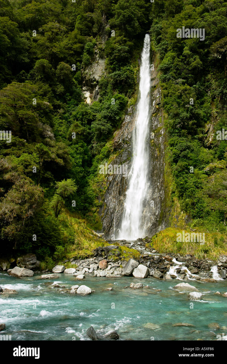 NEW ZEALAND Haast Pass Thunder Creek Falls waterfall over 30 meters ...