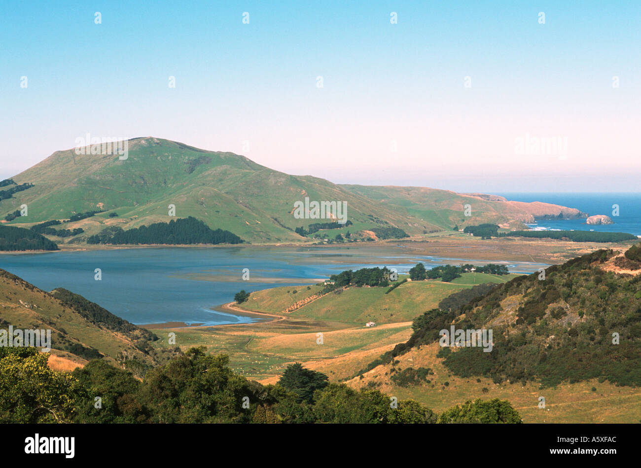 NEW ZEALAND Otago Peninsula View from Highcliff Road Stock Photo - Alamy