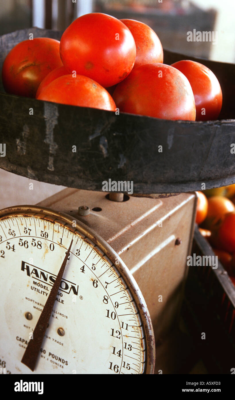 VEGETABLES Richmond Illinois Old fashioned scale ripe red tomatoes ...