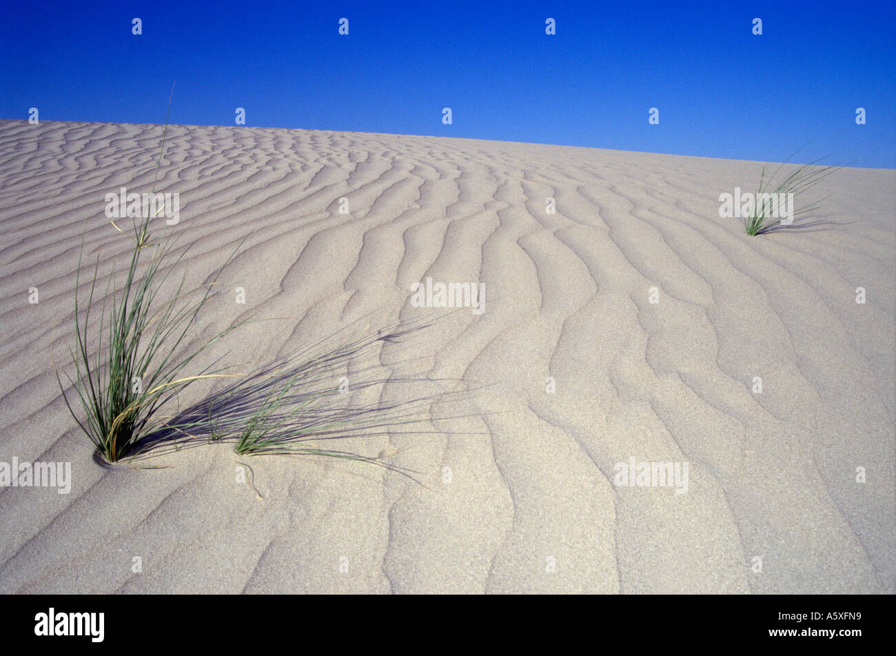 Bahrain landscapes hi-res stock photography and images - Alamy