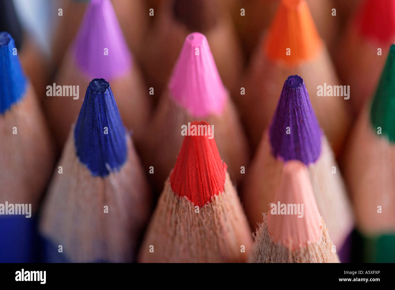 Lila colour hi-res stock photography and images - Alamy