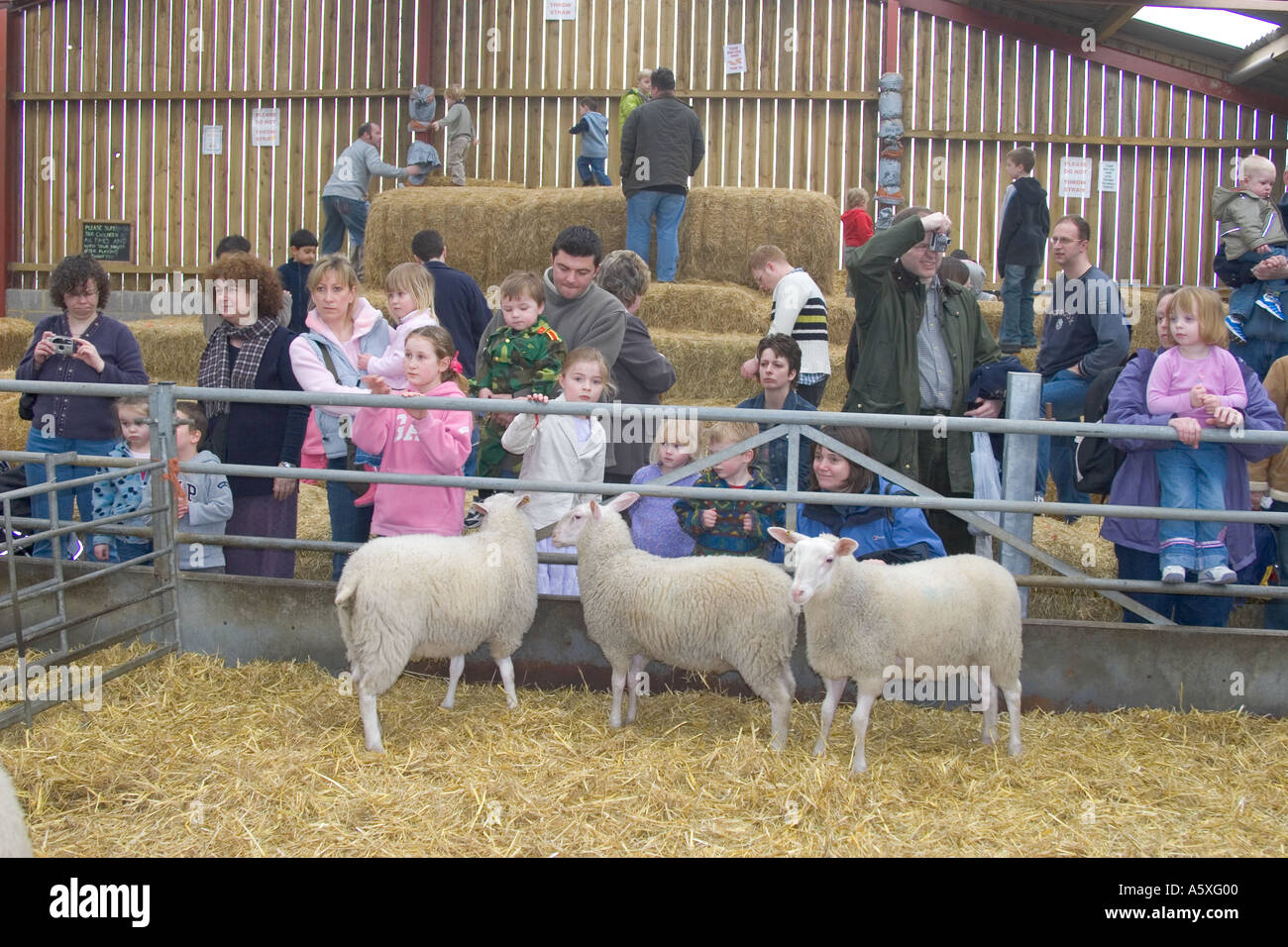 Children farm uk boy girl hi-res stock photography and images - Alamy
