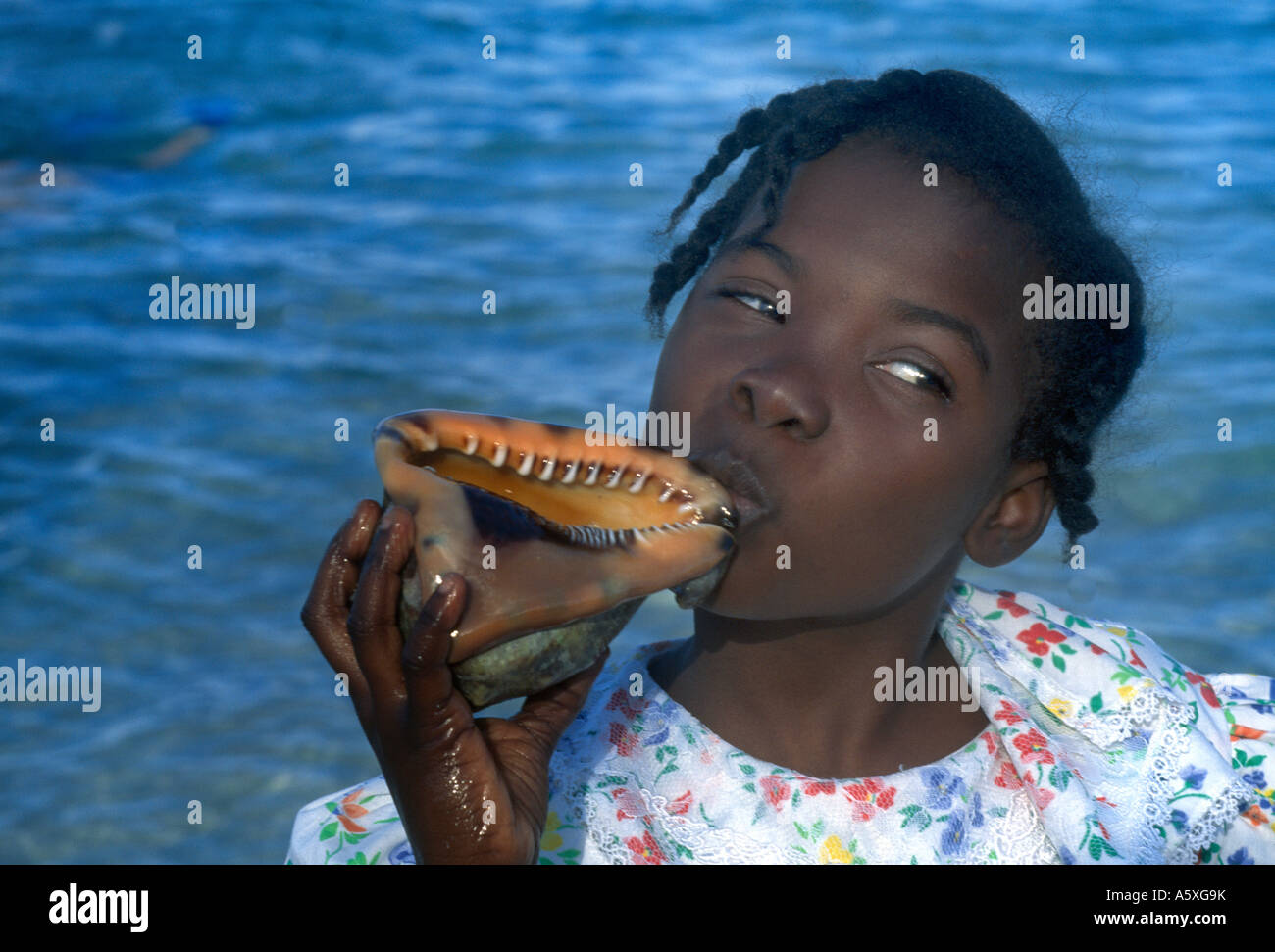 Nevisian hi-res stock photography and images - Alamy