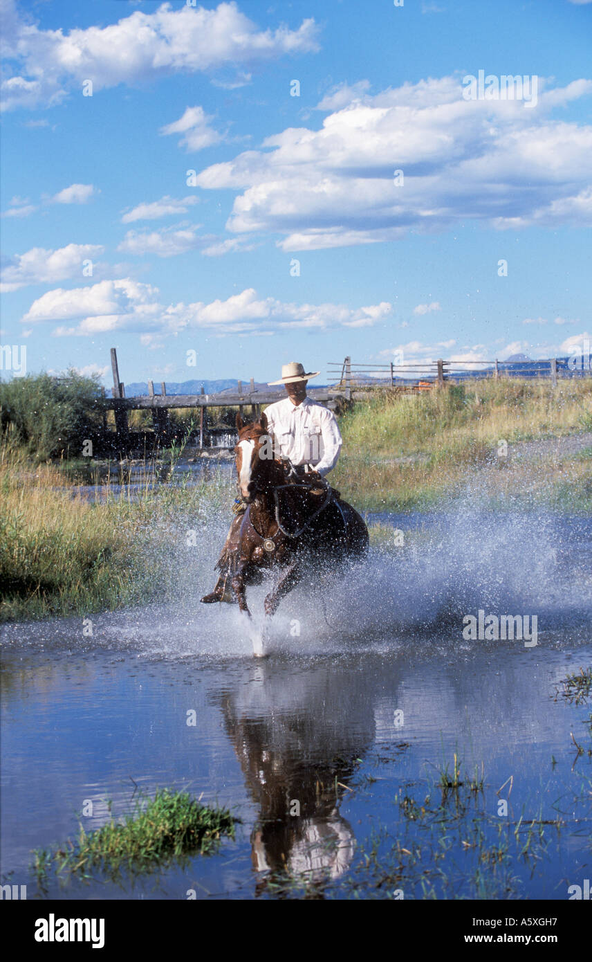 Man riding horse through water hi-res stock photography and images - Alamy