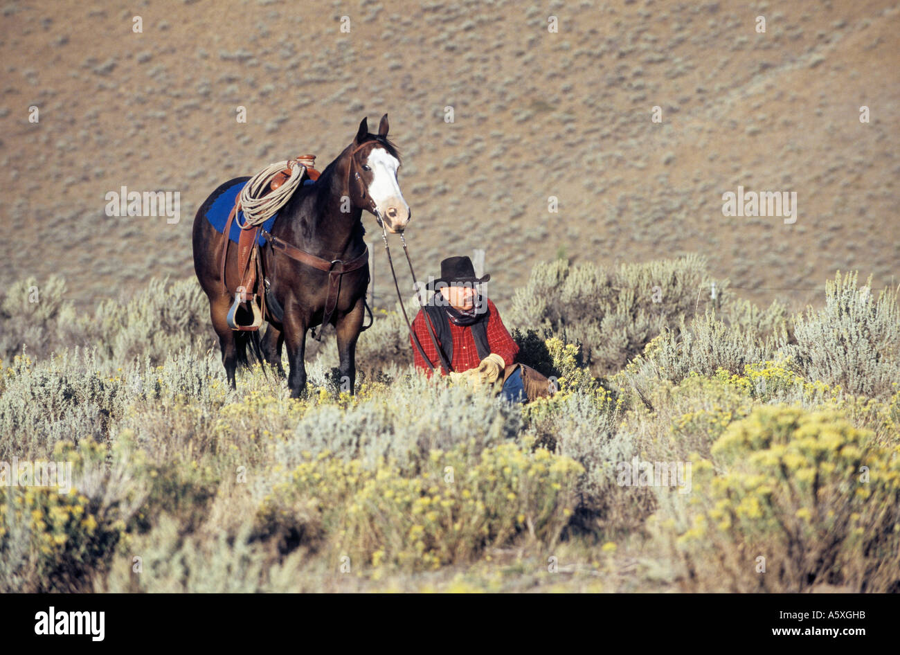Cowboys Resting High Resolution Stock Photography and Images - Alamy