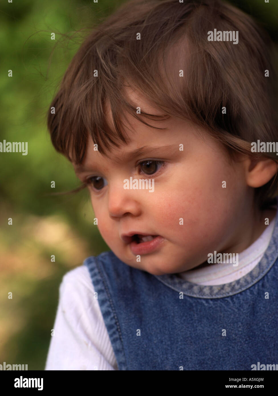 Portrait of fourteen month old girl Stock Photo - Alamy