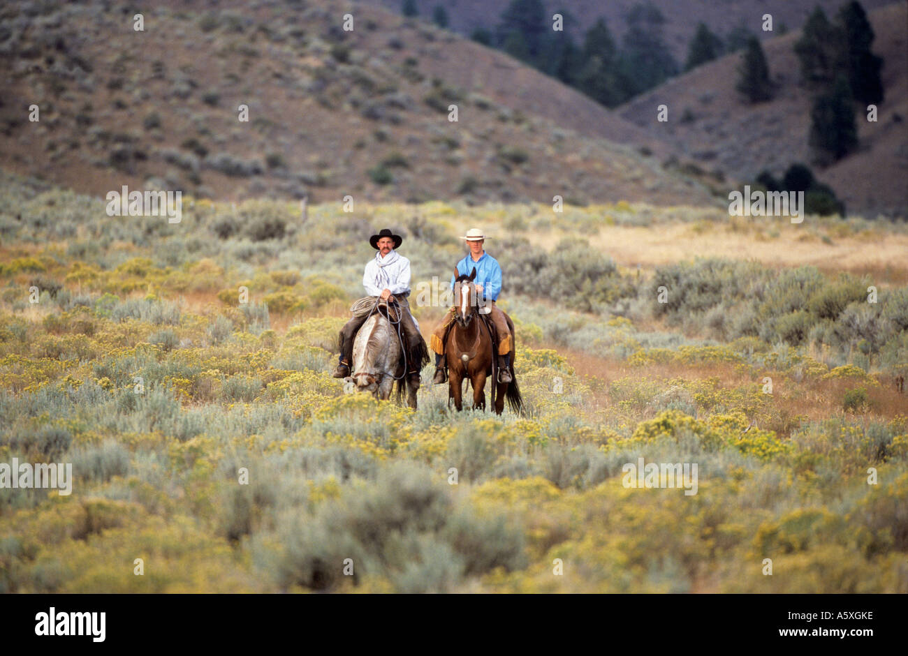 Two Cowboys Riding Horses High Resolution Stock Photography and Images ...