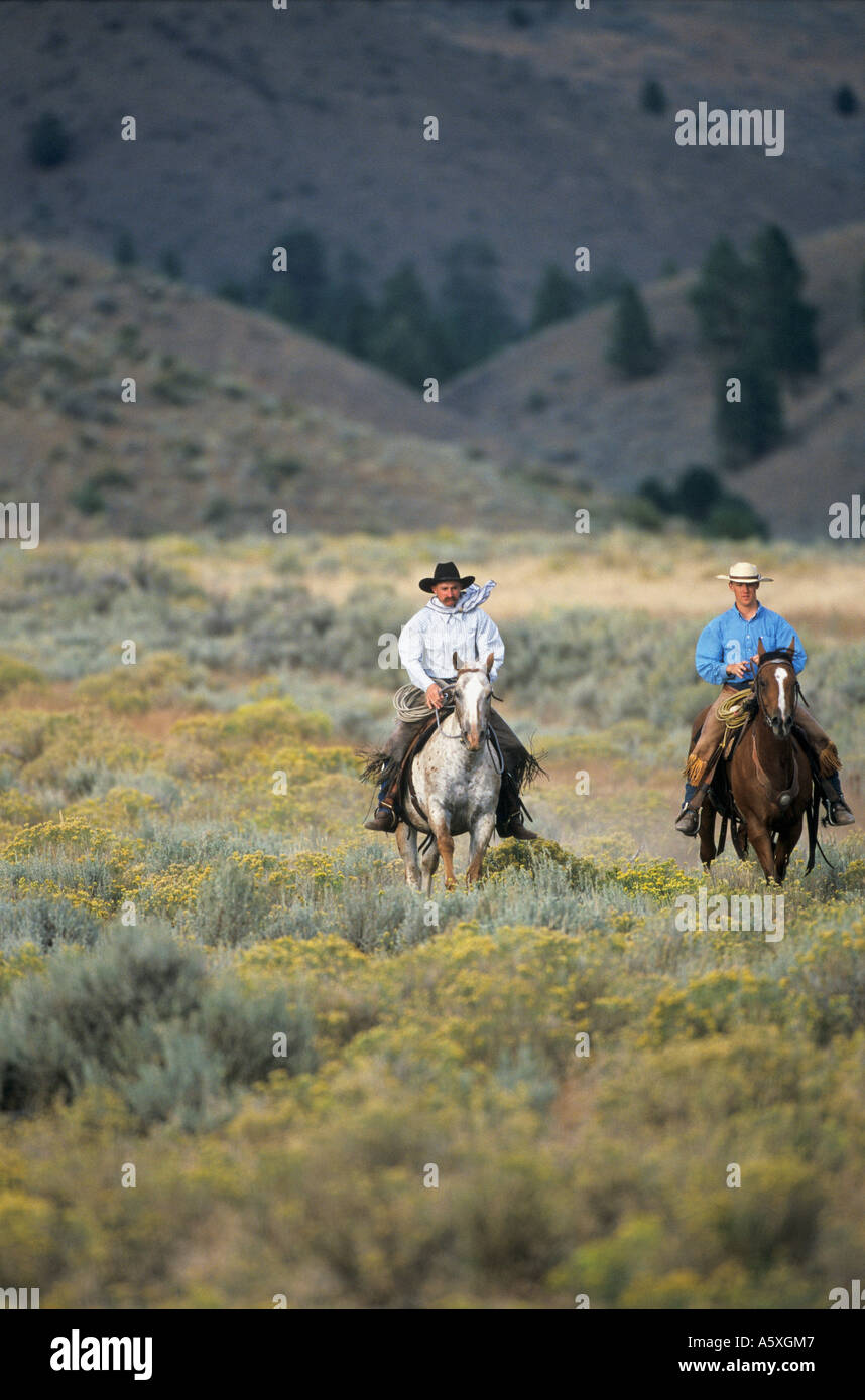Two cowboys riding horses hi-res stock photography and images - Alamy